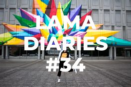 Bullet Journal : Mon avis sur le carnet Dingbats Wildlife A5+